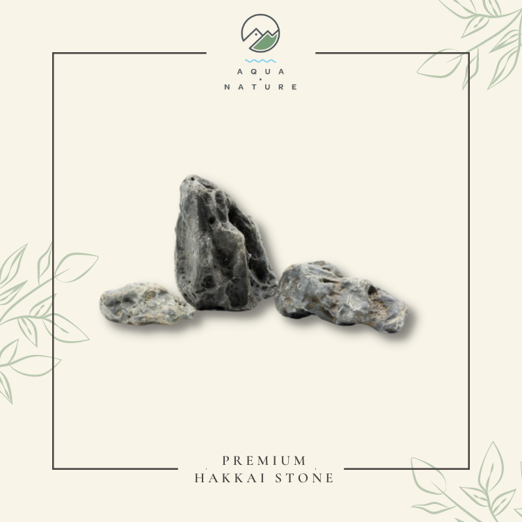 Aqua Nature Hakkai Stone/Pa Hai Stones [Hardscape/Layout Material ...