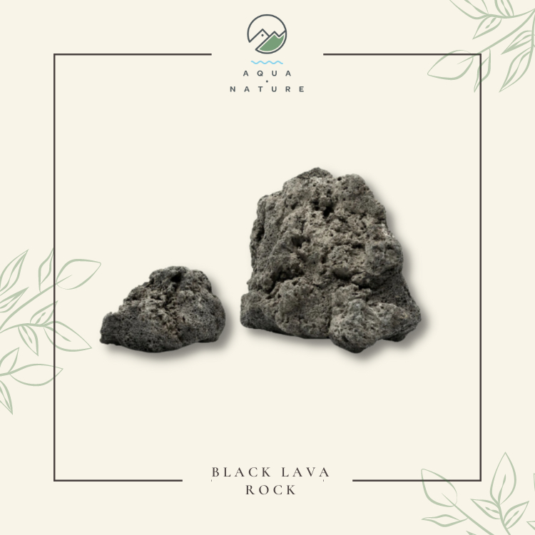 Aqua Nature Black Lava Rock 火山石 (Pasir Malang/Volcanic Stone/Bio Filter ...