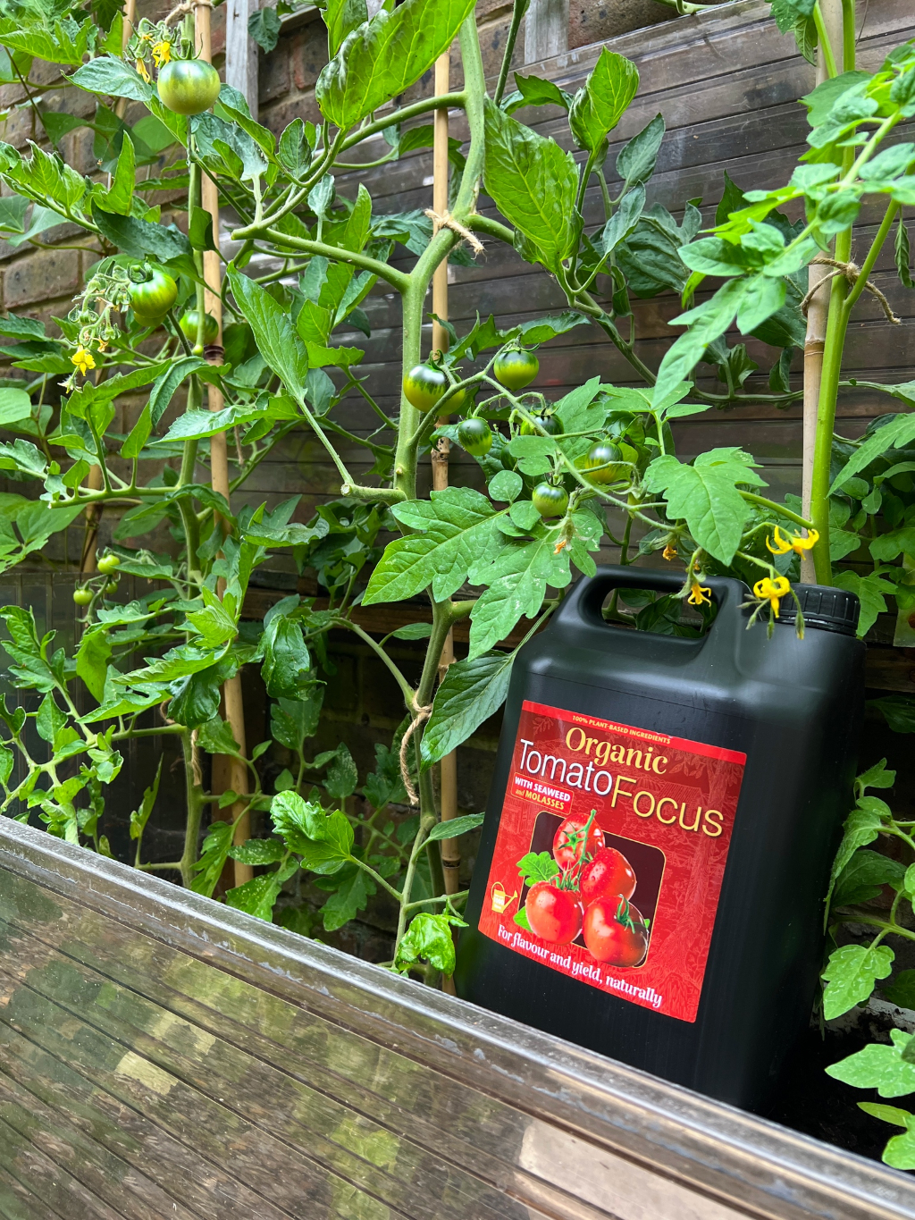 Growth Technology Organic Tomato Focus (For flavour and yield ...