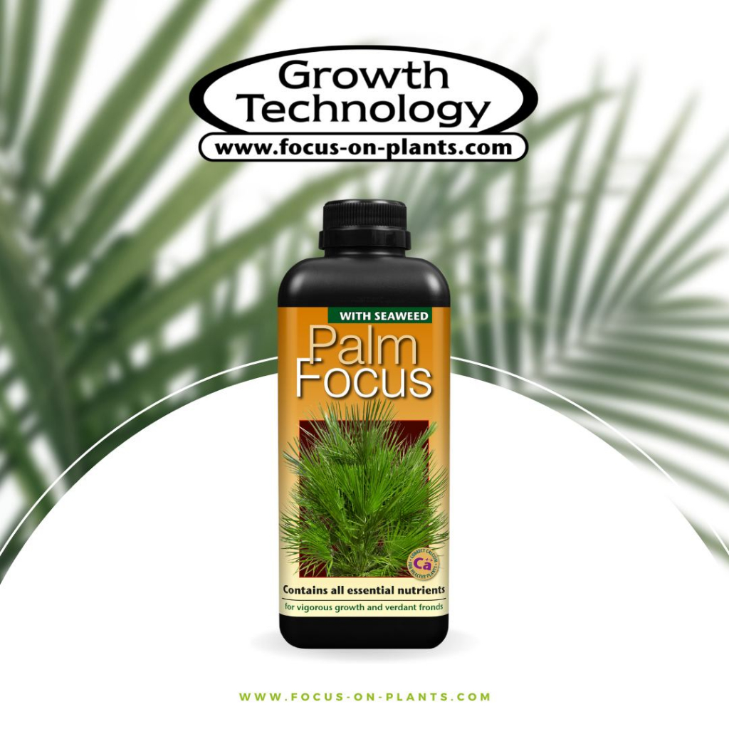 Growth Technology Palm Focus 1L (Palm Tree Liquid Compound Fertilizer ...
