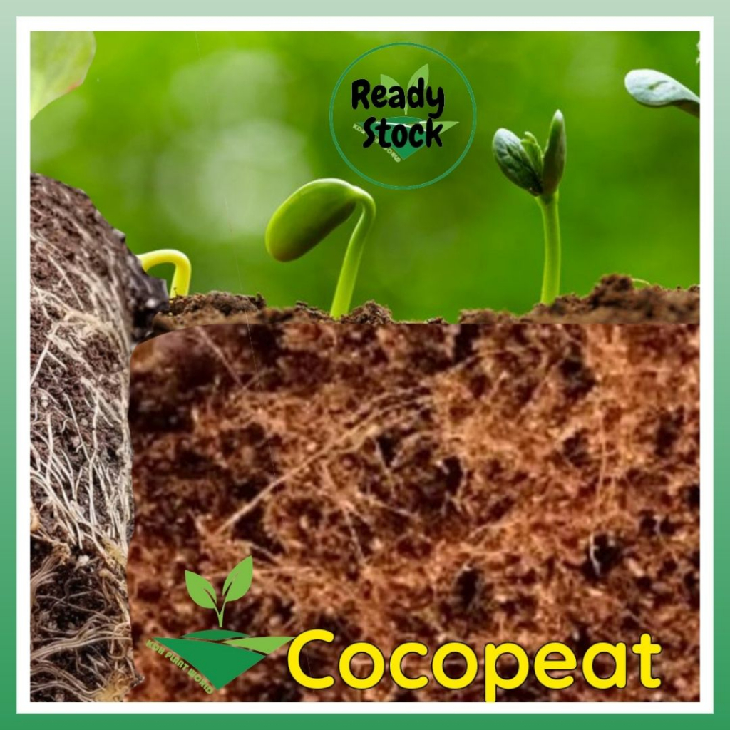 COCOPEAT 500GRAM+- / COCO PEAT / SABUT KELAPA HANCUR KERING / KOKOPIT ...