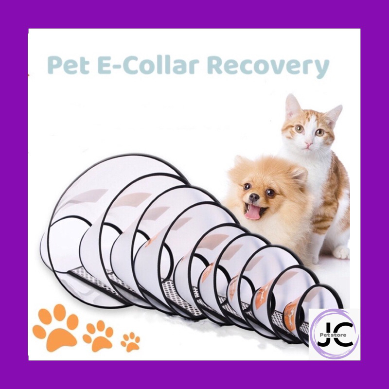 E-Collar For Pet Recovery Protection Elizabeth Collar READY STOCK ...