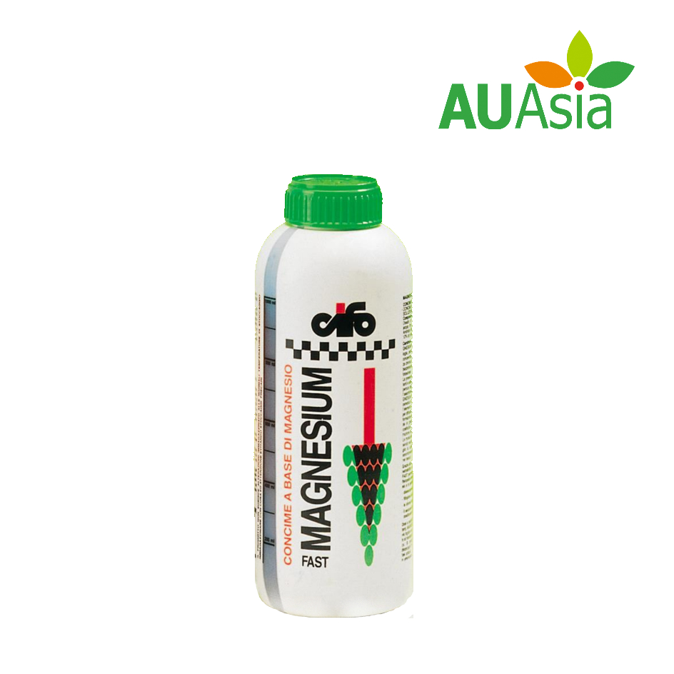 MAGNESIUM FAST [1L]: Liquid Formulation of Magnesium to Prevent and ...