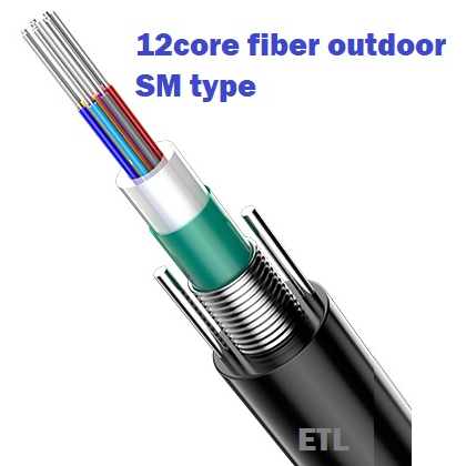 6c &12c Fiber Optic Cable, armored SM, OS2, loose tube | Shopee Malaysia