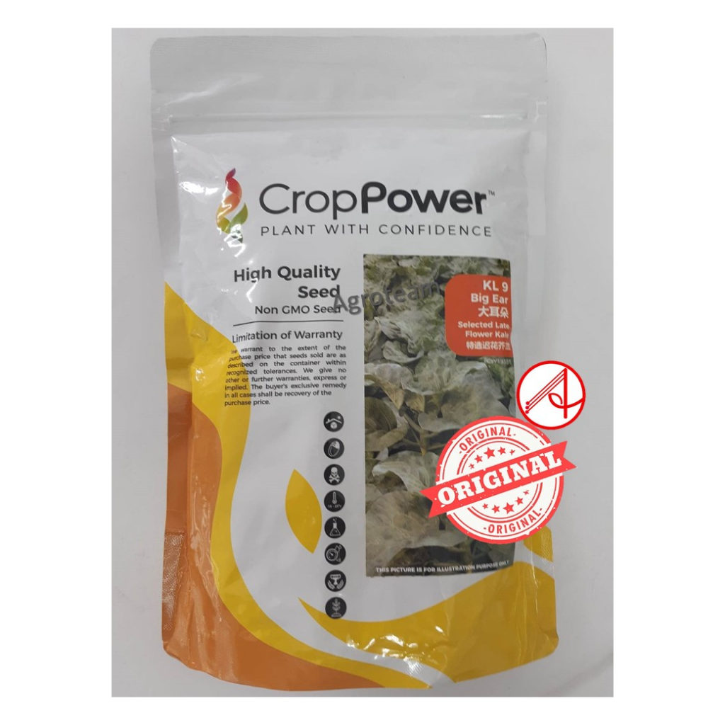 CROP POWER KL9 BIG EAR SELECTED LATE FLOWER KALE-500G | Shopee Malaysia