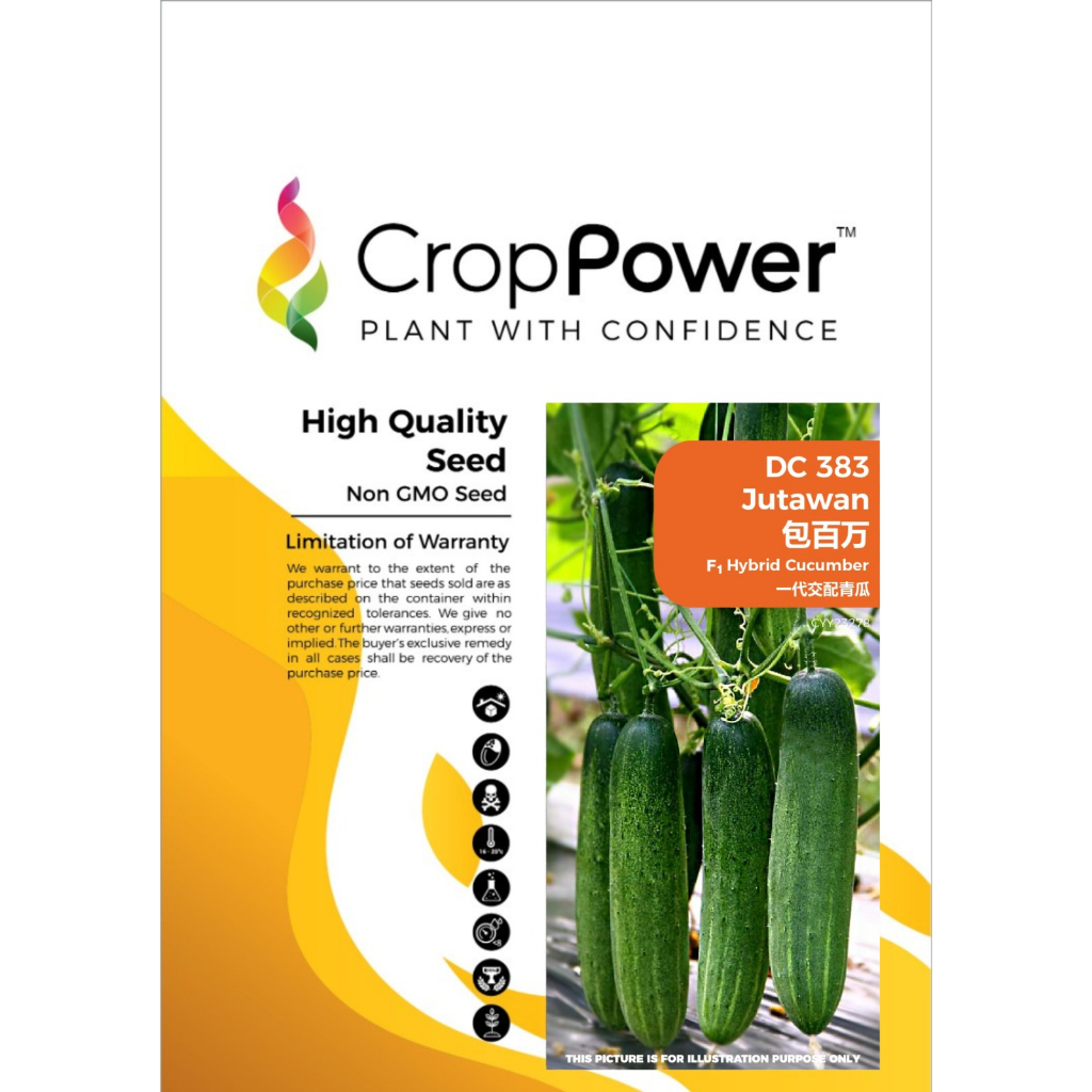 Benih Timun DC383 Jutawan F1 Hybrid Cucumber Crop Power - ( 100g ) 👍 💯 ...
