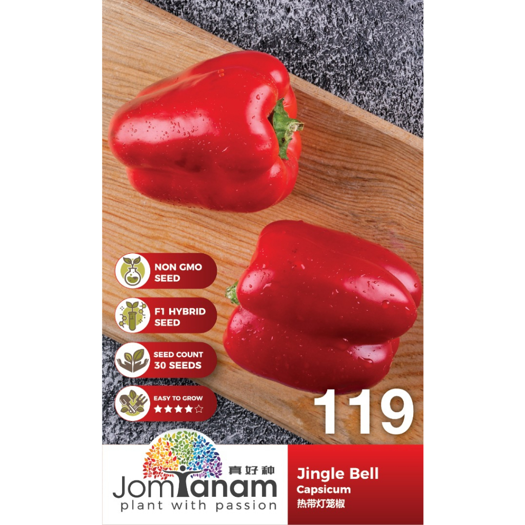 119 - JOM TANAM Capsicum SeedBenih Lada甜椒种子 Jingle Bell 119 (30 seeds ...