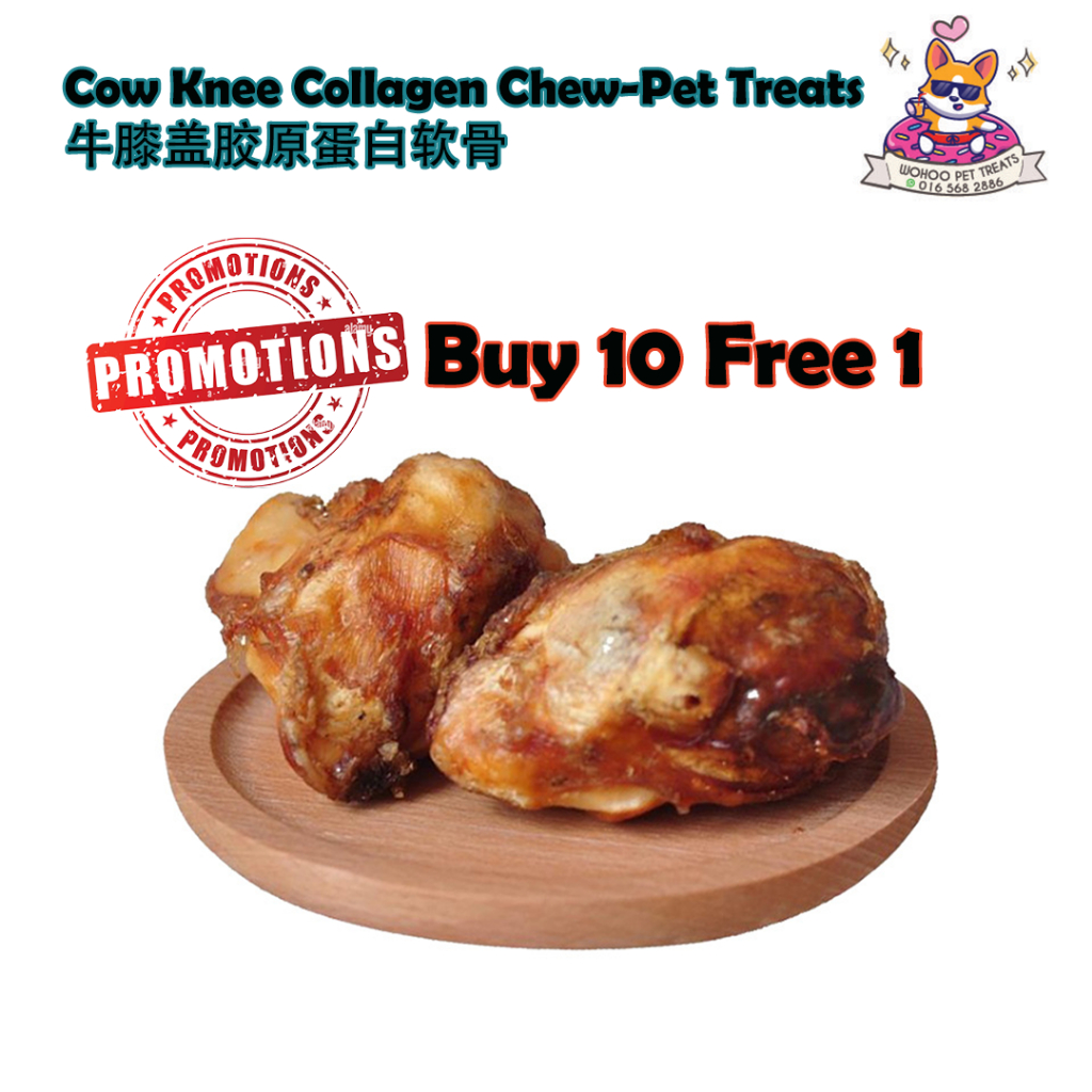 [Buy 10 Free 1]Air Dried Cow Knee Collagen Bone Chew Pet Teeth Molar ...