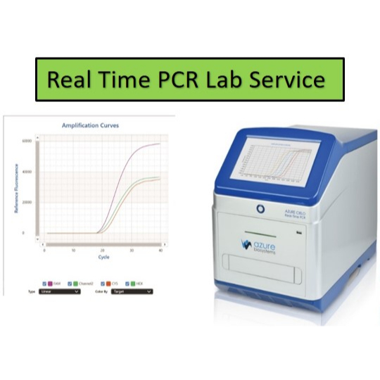 Real Time PCR Lab Service | Shopee Malaysia