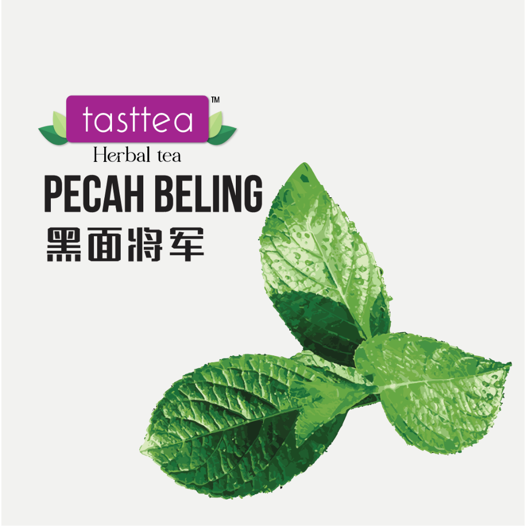 TASTTEA Herbal tea PECAH BELING 黑面将军保健茶 | Shopee Malaysia