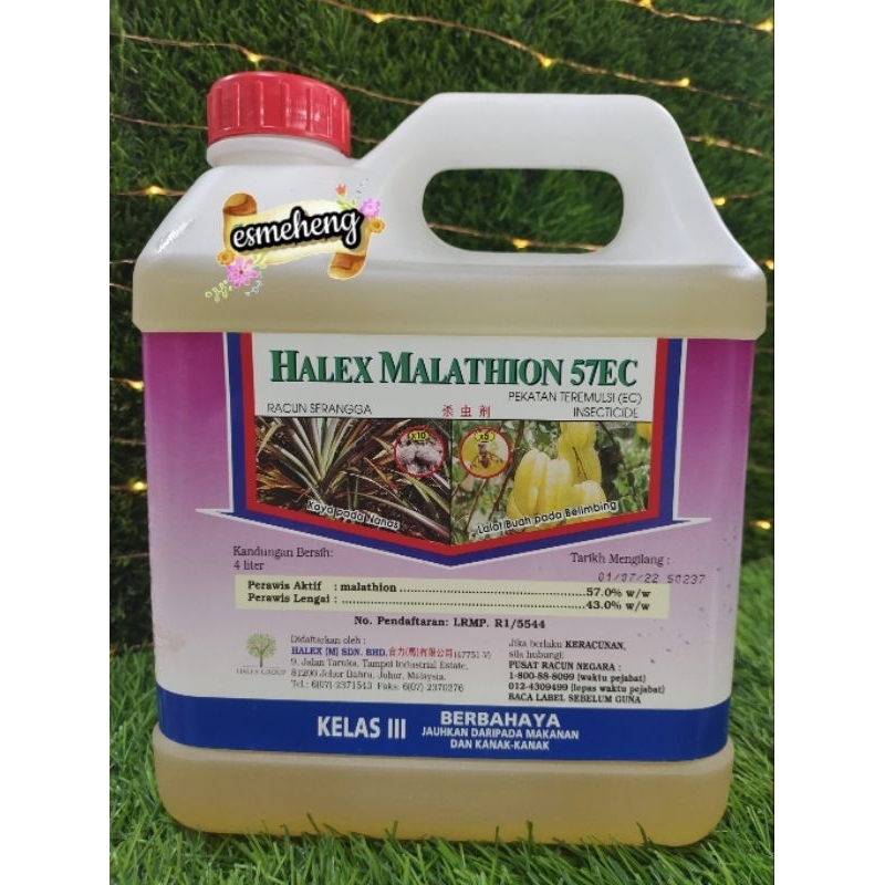 4L Halex Malathion 57EC / Racun Serangga Busuk / Hama Merah / Kutu Daun ...