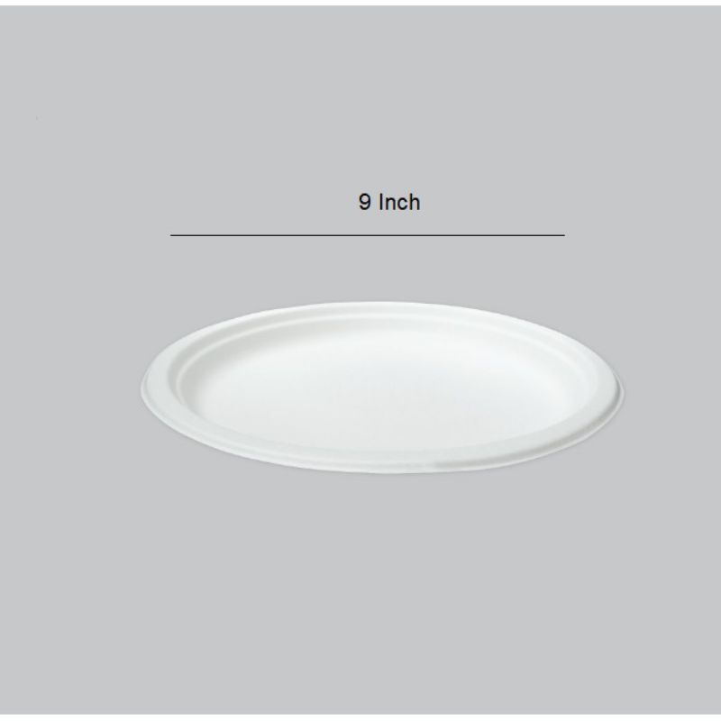 10pcs Disposable Polystyrene Plate 9" / Pinggan Polisterin Pakai Buang ...