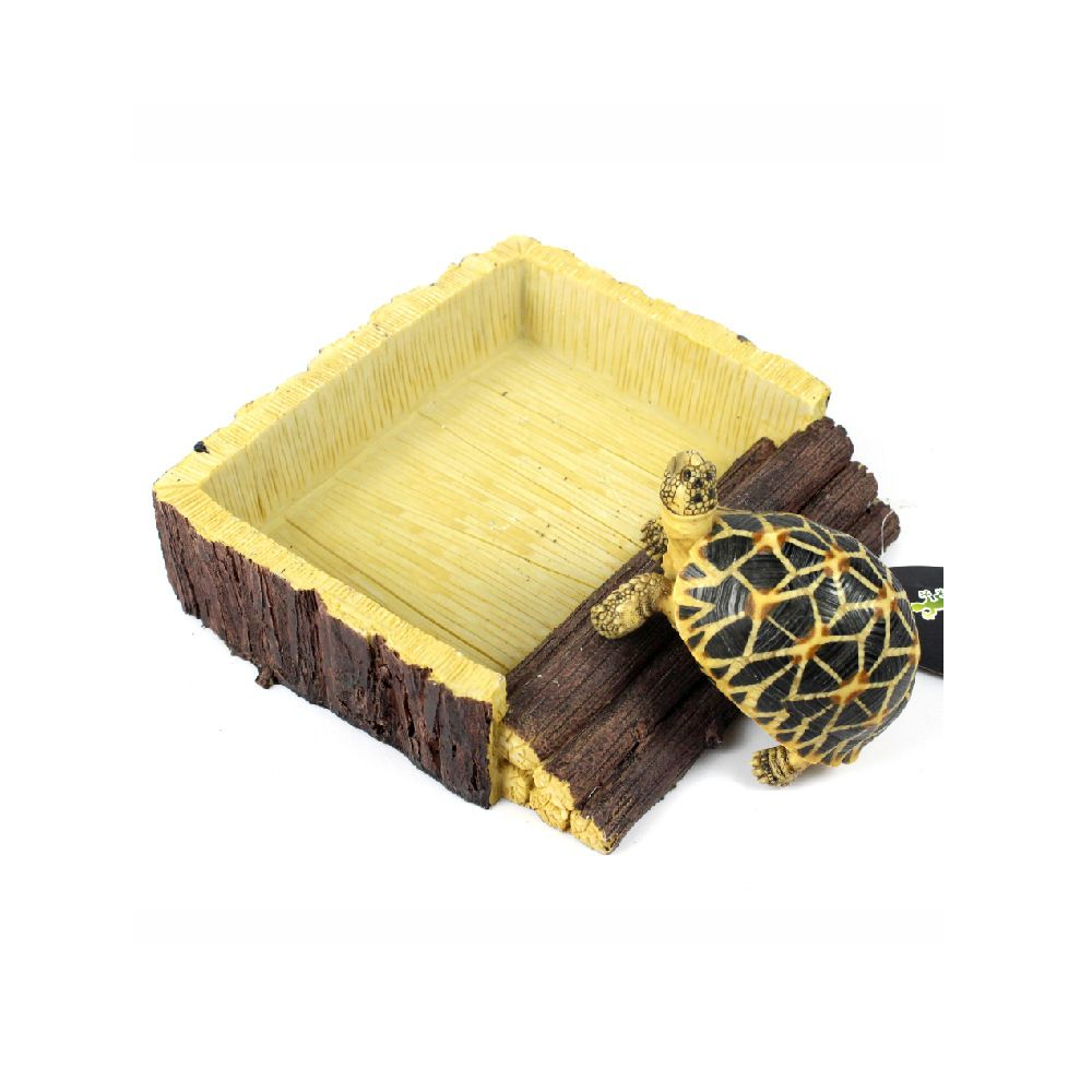NOMOY Pet Reptile feeding dish (Tortoise Food Dish) with stairs ...