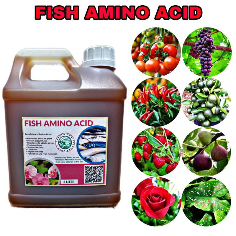 [2 Liter] Baja Ikan/Fish Amino Acid (FAA) Pertanian/Baja Buah, Baja ...