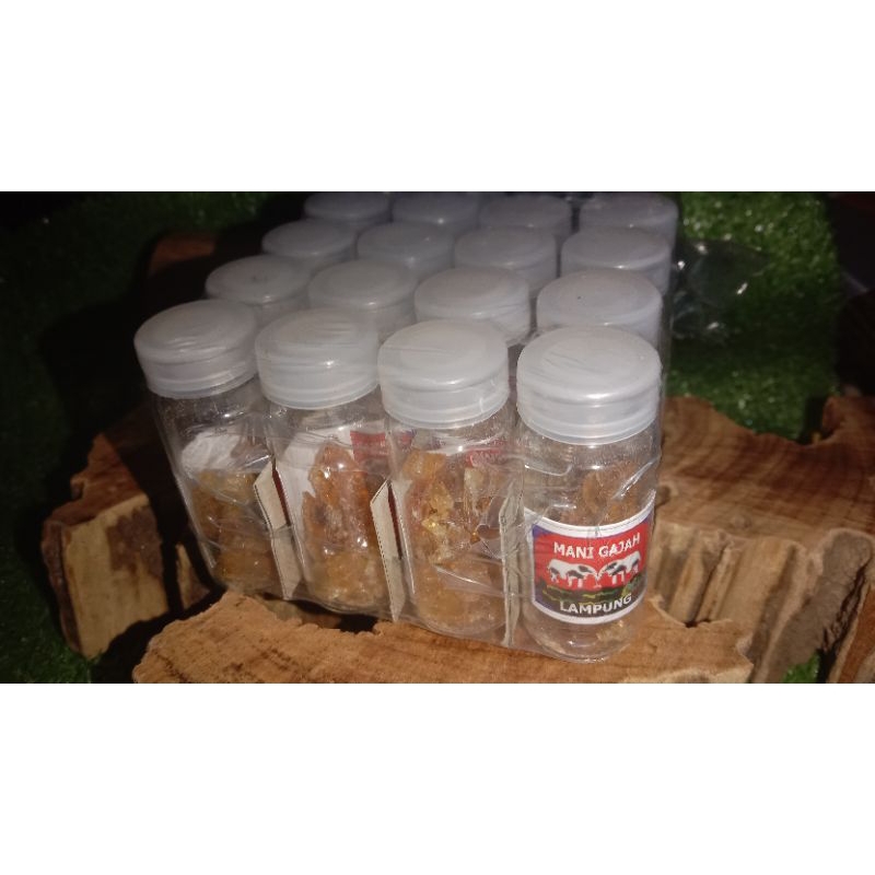 Kristal Mani elephant. | Shopee Malaysia
