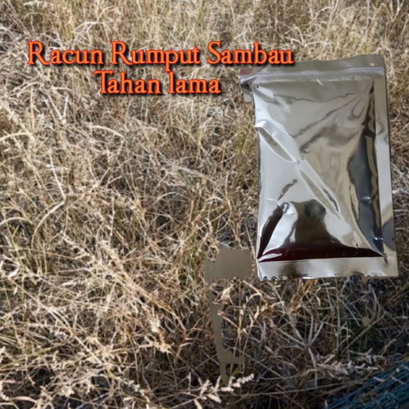 Racun Rumput Cina Kampung Sambau Tahan lama | Shopee Malaysia