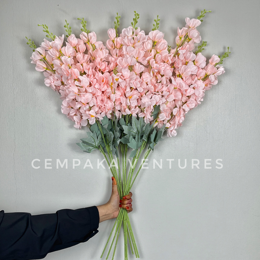 Bunga Harum Sundal Malam Bunga Jagung Hiasan Pelamin Matthiola Flower ...