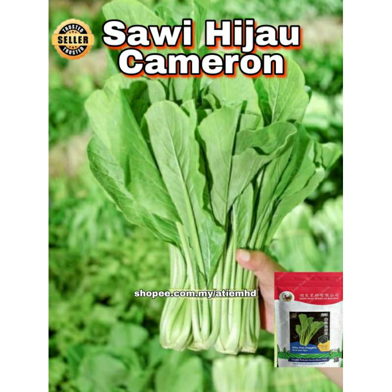 Sawi Hijau Cameron ** Biji Benih 100 pcs | Shopee Malaysia