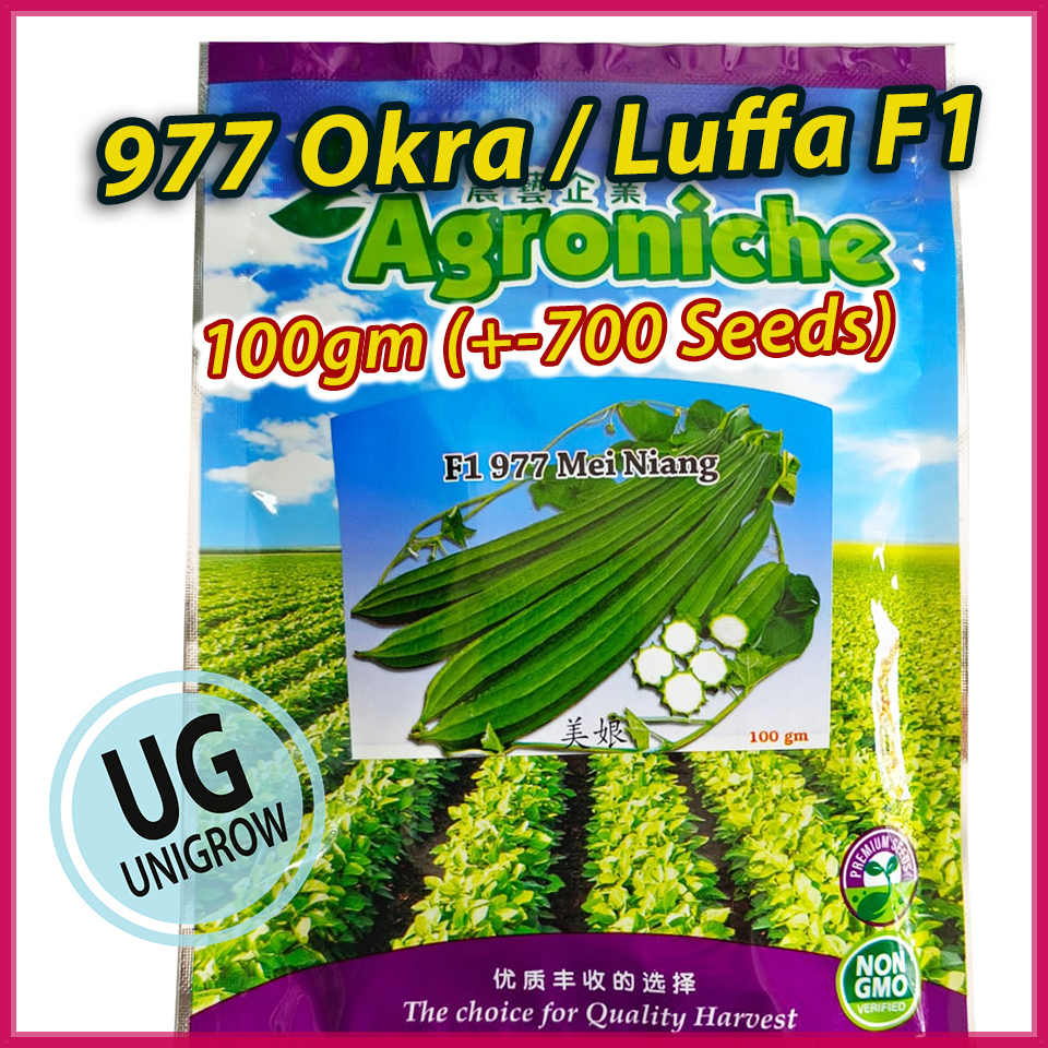 (100gm) F1 Mei Niang 977 Petola Segi Benih Ag Seeds / Luffa / Ridge Gourd 美娘角瓜種子 | Shopee Malaysia