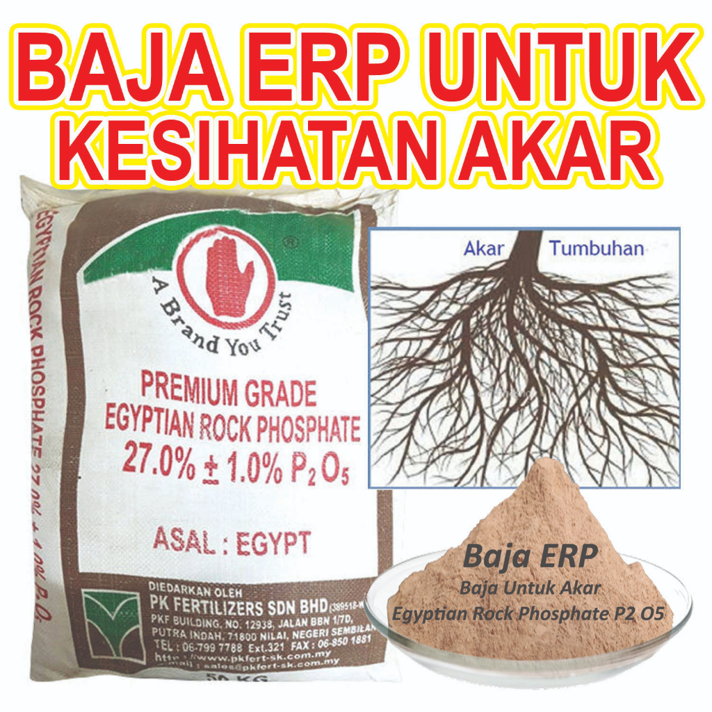 Baja ERP Khas Untuk Akar Pokok Sihat Kuat Phosphate Premium Grade Egypt ...