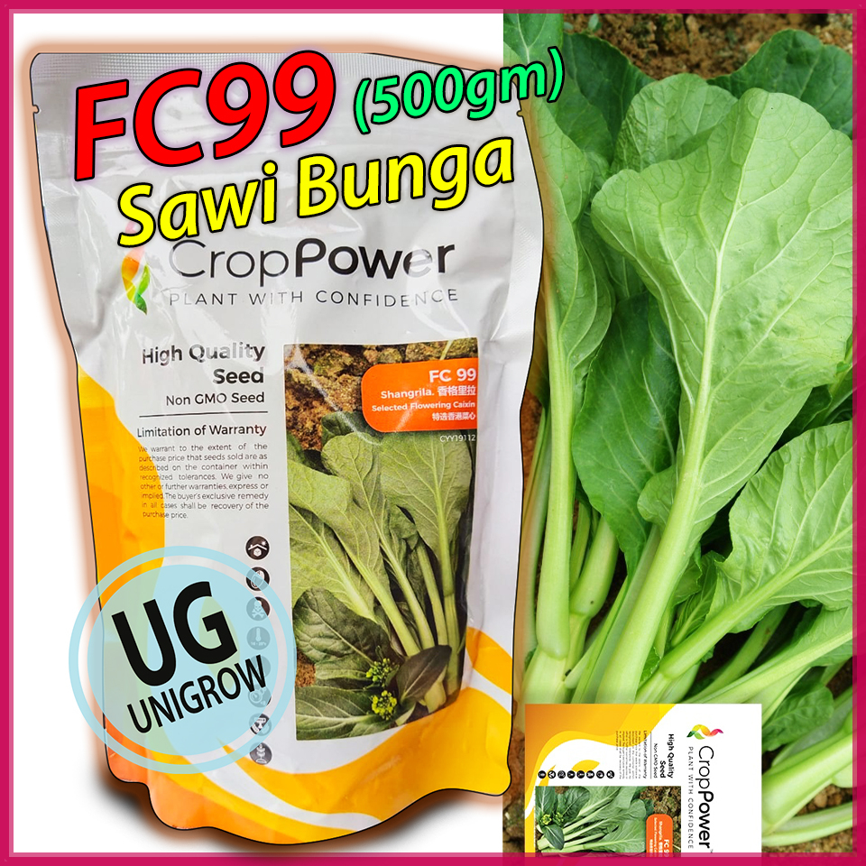 (500gm) Shangrila FC99 Sawi Bunga Benih Crop Power Sawi Hong Kong ...