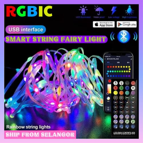 40 Key USB RGBIC Smart Fairy Light Lampu Raya Christmas Tree LED String ...