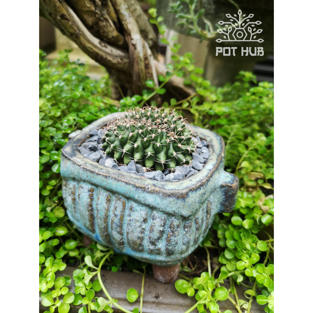 POTHUB Ready Stock Luxury High Quality Stone Pot Pasu Bunga | Shopee ...