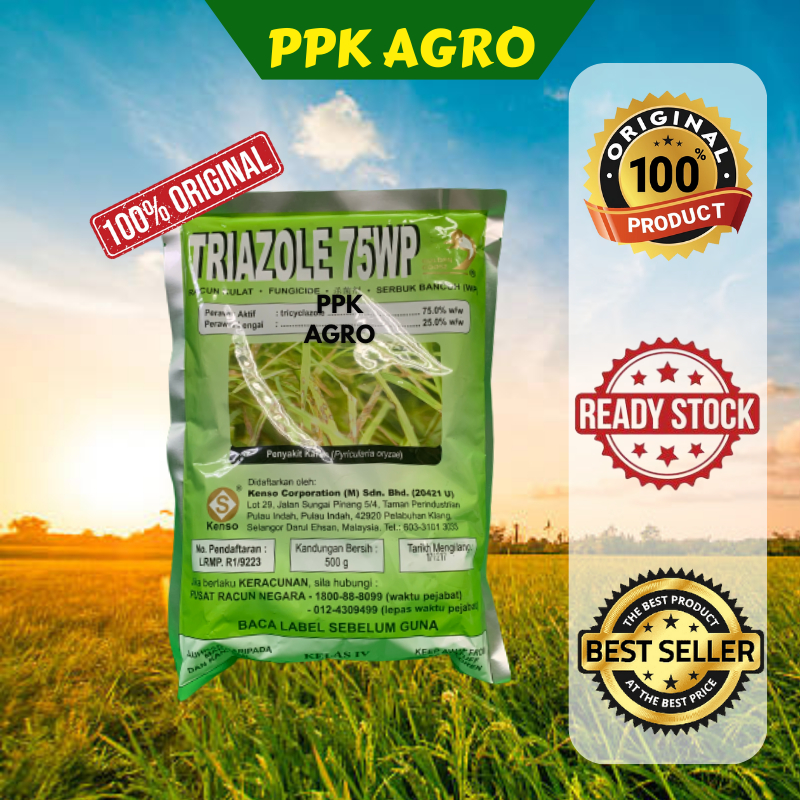 500G TRIAZOLE 75WP KENSO / Reput tangkai / Karah / Beam Lek Citi ...