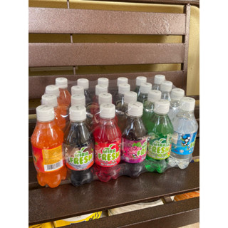 Air Botol Berperisa Wira Fresh ( 1 karton x 24 botol 240 ml) Sarsi ...