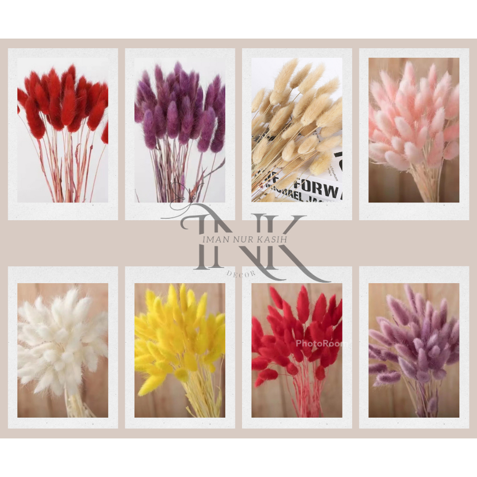DRIED RABBIT TAIL FLOWER 10PCS/30PCS/60PCS | Shopee Malaysia