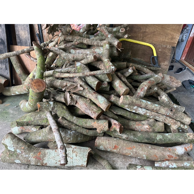 Kayu Api(kayu pokok rambutan) | Shopee Malaysia
