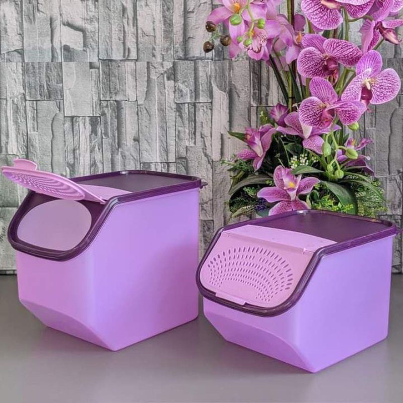 Tupperware Garlic N All Keeper 2.3L 1 unit / 5.5L / 3L Large Onion ...