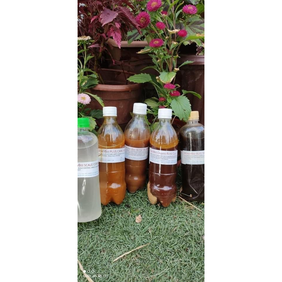Set Semburan | Atasi Serangga | Organik | Rose care | Rose Bloom | Bug ...