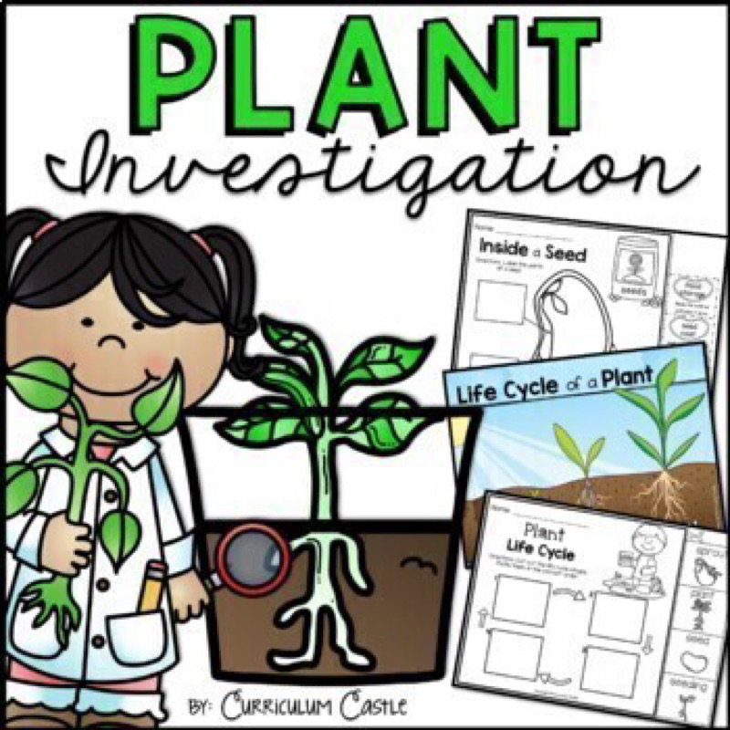 [PDF] Plant Investigation Unit: All About Plants, Life Cycle and Needs ...