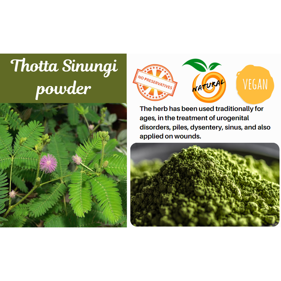Sensitive plant pokok semalu whole/powder/seed chui (mimosa pudica ...