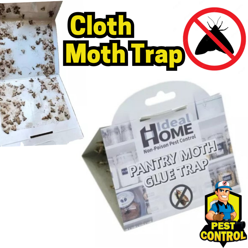 Cloth Moth Trap Casemaking and Webbing Moth | Shopee Malaysia