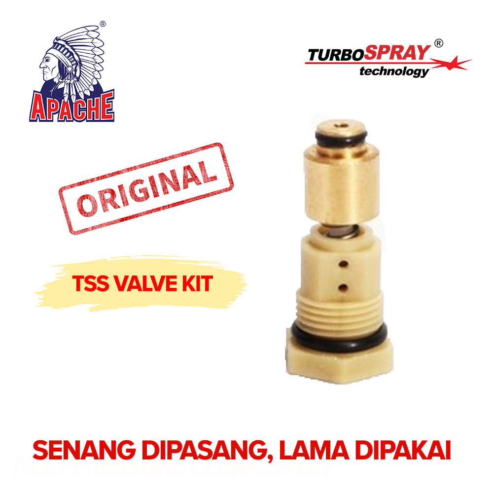 APACHE TurboSpray® Replacement TSS Kit | Repair TSS Kit for Pressure ...