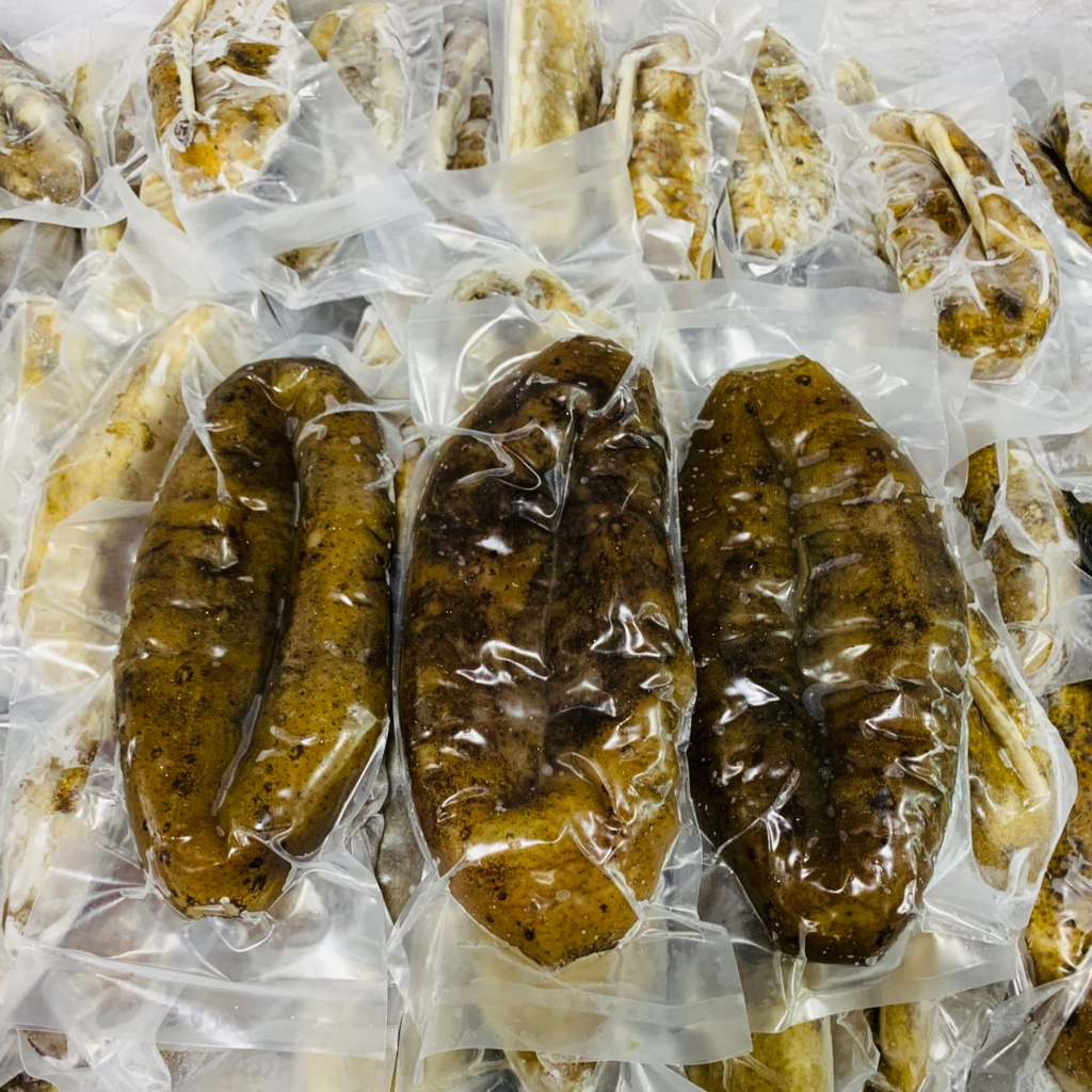 【M】🔥沙巴猪婆海参 Sabah Sea cucumber🔥 (251G -500G) | Shopee Malaysia