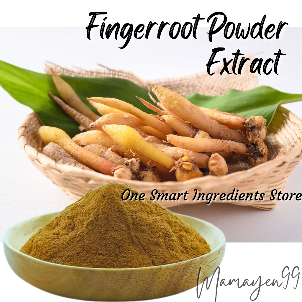 Fingerroot Powder Extract / Serbuk Extract Temu Kunci / Krachai ...