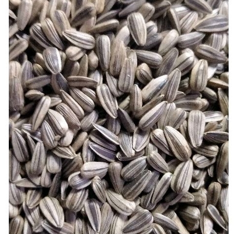 kuaci jalur kecil | Shopee Malaysia