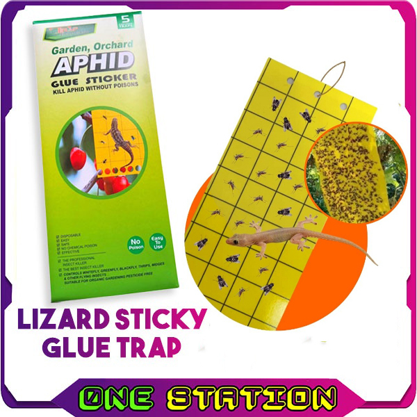 Lizard Gecko Strong Adhesive Sticky Glue Trap Boards for Pest Control ...