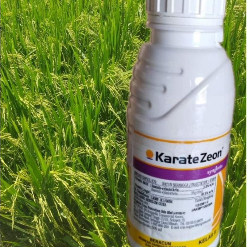 500ml Karate Zeon racun Serangga macam AlikaZc | Shopee Malaysia