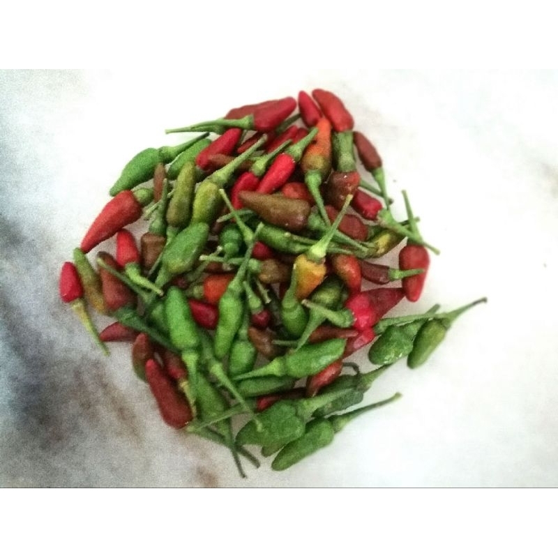 Cili Padi Kampung/Cabai Burung/Lada Burung/Chili Paddy/指天椒/米椒/Facing ...