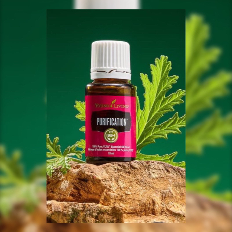 Young Living Purification Essential Oil Blend (15ml) | Shopee Malaysia
