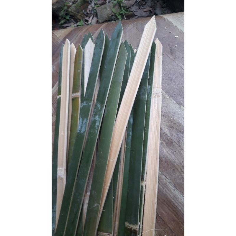 PANCANG BULUH 50 cm. | Shopee Malaysia