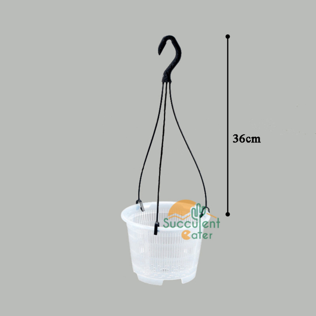 Thick Orchid Plastic Flower Pot Pasu Bunga Okid Gafri 蝴蝶兰花盆 | Shopee ...
