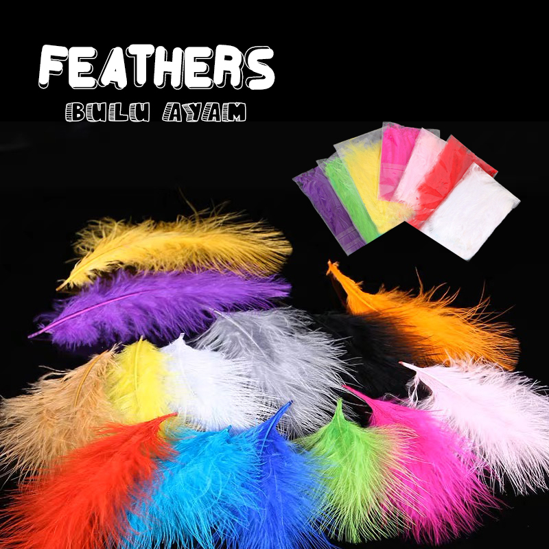 [PANDA] 100pcs Color Feather Bulu for Transparent Clear Bubble Bobo ...
