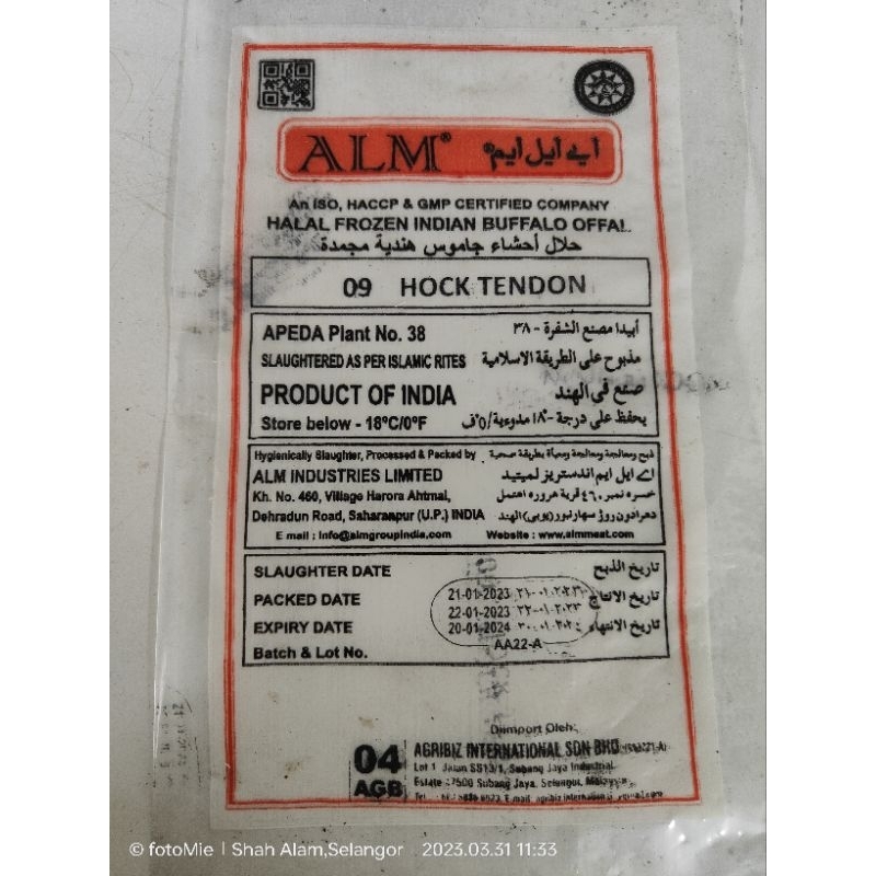 Urat Keting / Hock Tendon (NINJAVAN SAHAJA - SHIP OUT ISNIN - KHAMIS ...