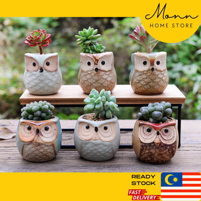 [READY STOCK] MONN Owl-shape Mini Ceramic Pot for Succulent Plants ...