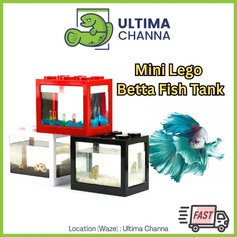 [LIMITED PROMO] Plastic Lego Betta Fish Tank - stackable, suitable for ...